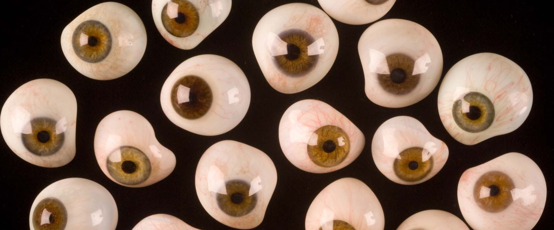 Hunterian Museum | School Visits