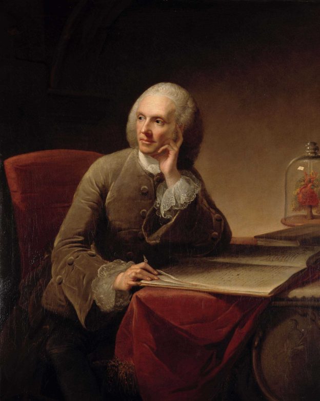 Hunterian Museum | John Hunter