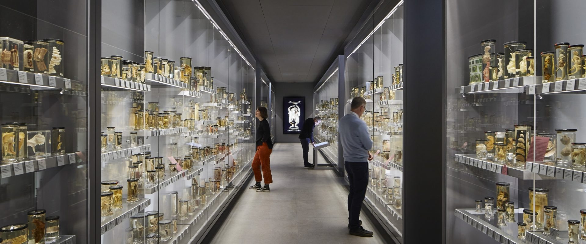 Hunterian Museum | Book Advance Ticket