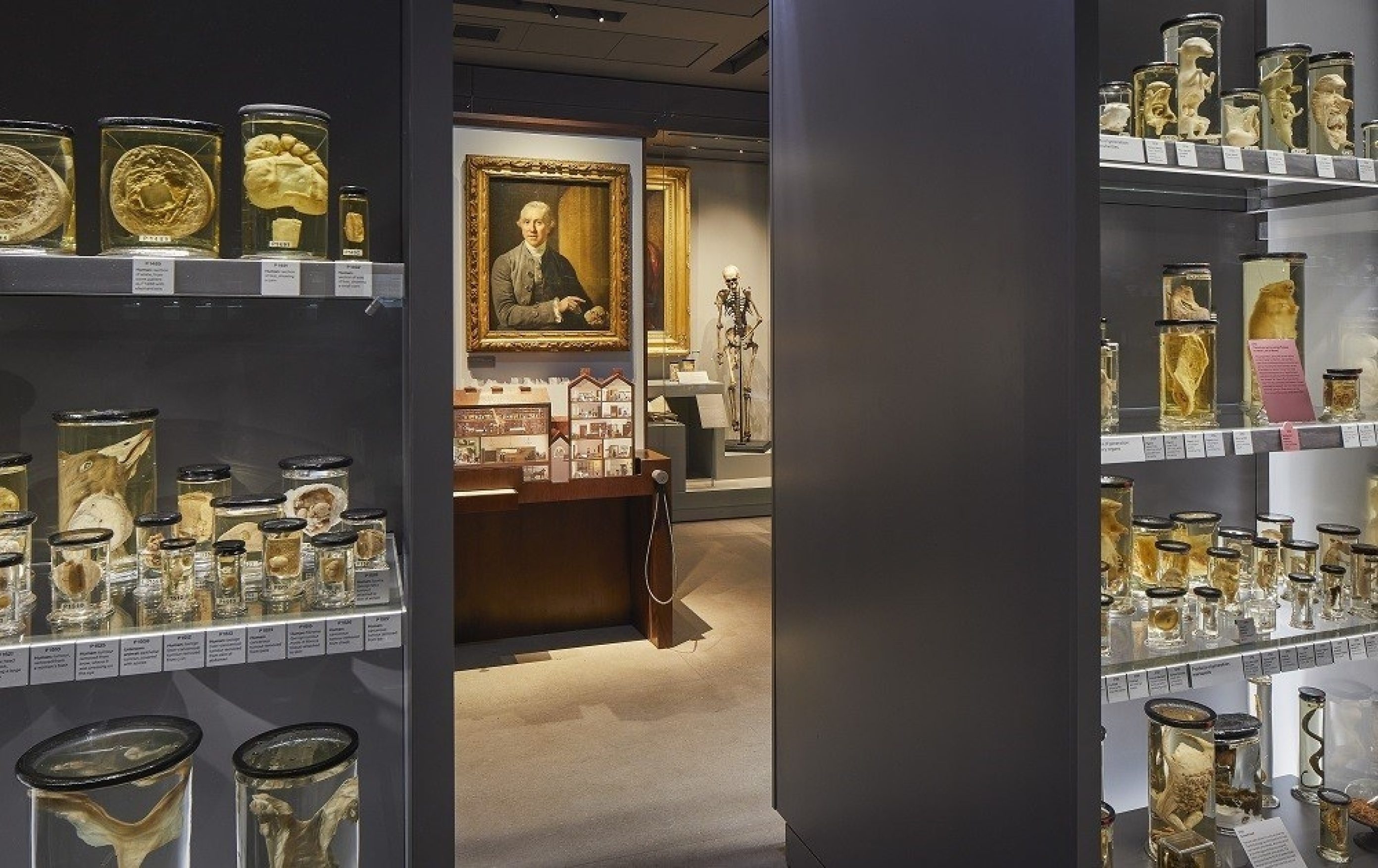 Hunterian Museum | Art & Design