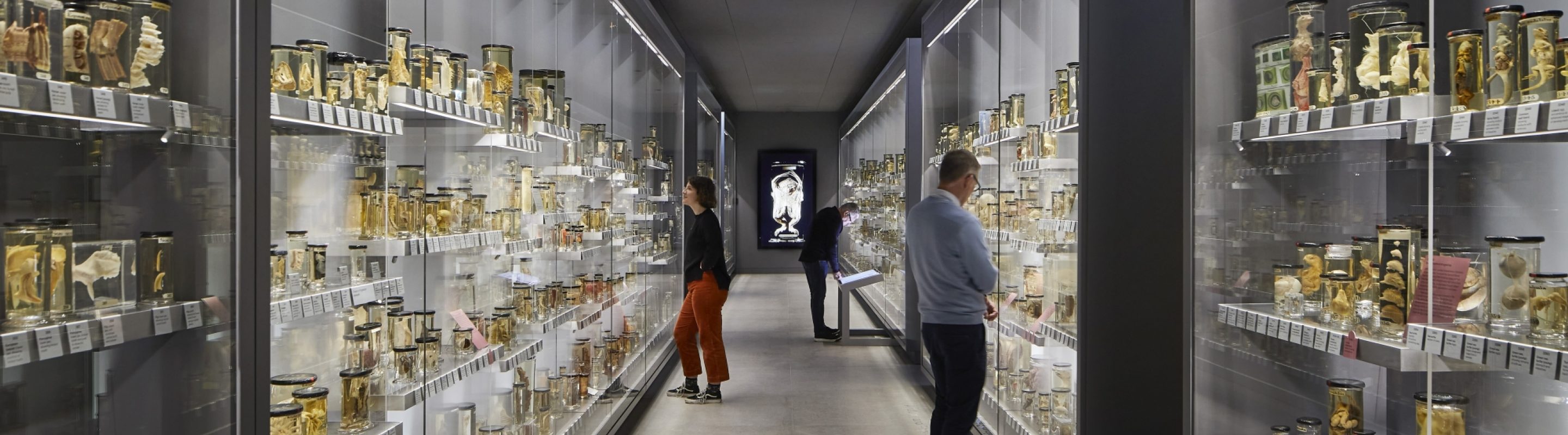 Hunterian Museum | Book Advance Ticket