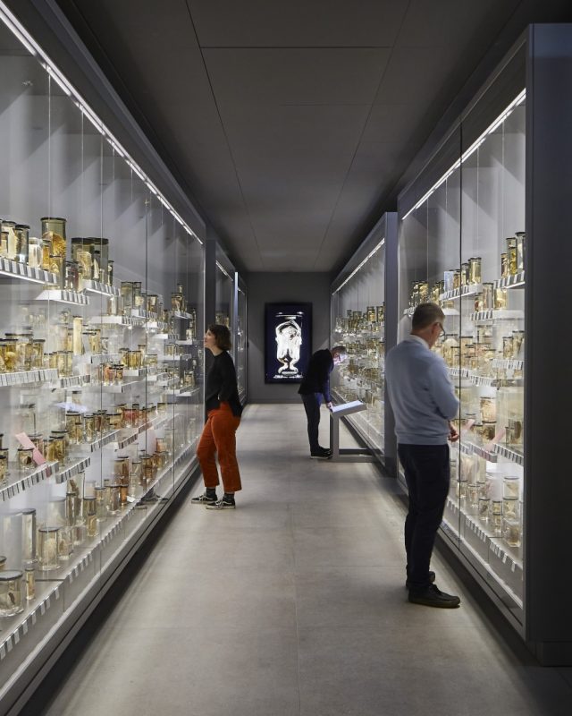 Hunterian Museum | Book Advance Ticket