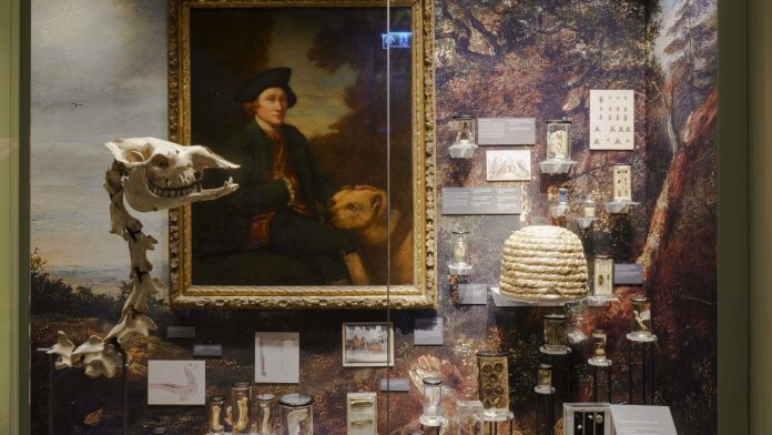 Hunterian Museum | Hunterian Museum Galleries