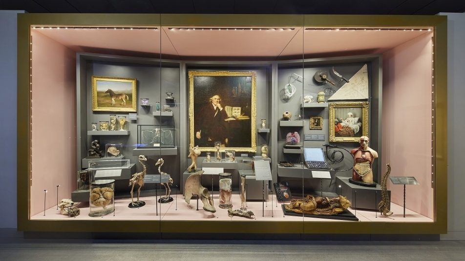 Hunterian Museum | About