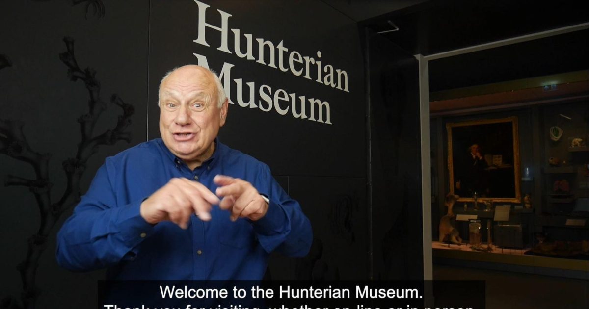 Hunterian Museum | BSL Hunterian Museum Tour