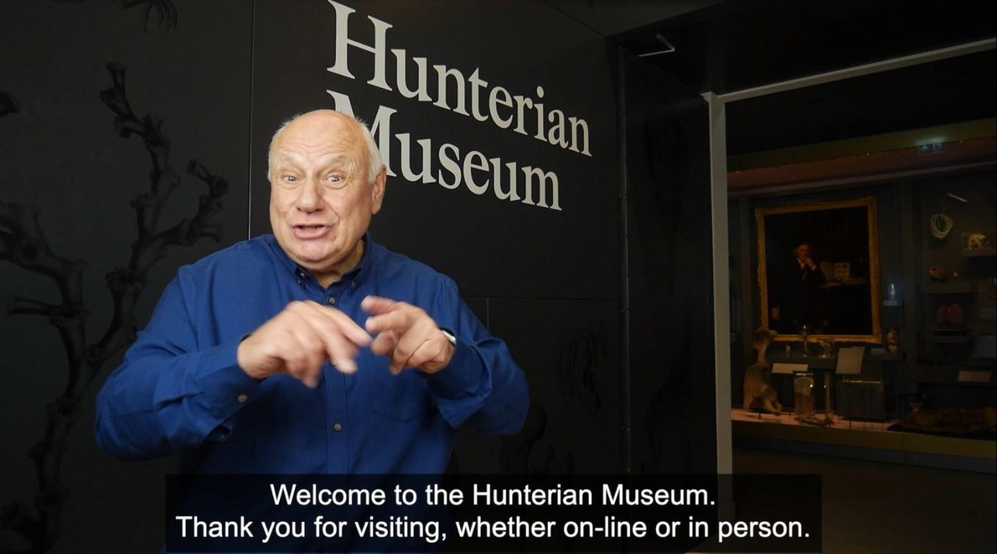 Hunterian Museum | BSL Hunterian Museum Tour
